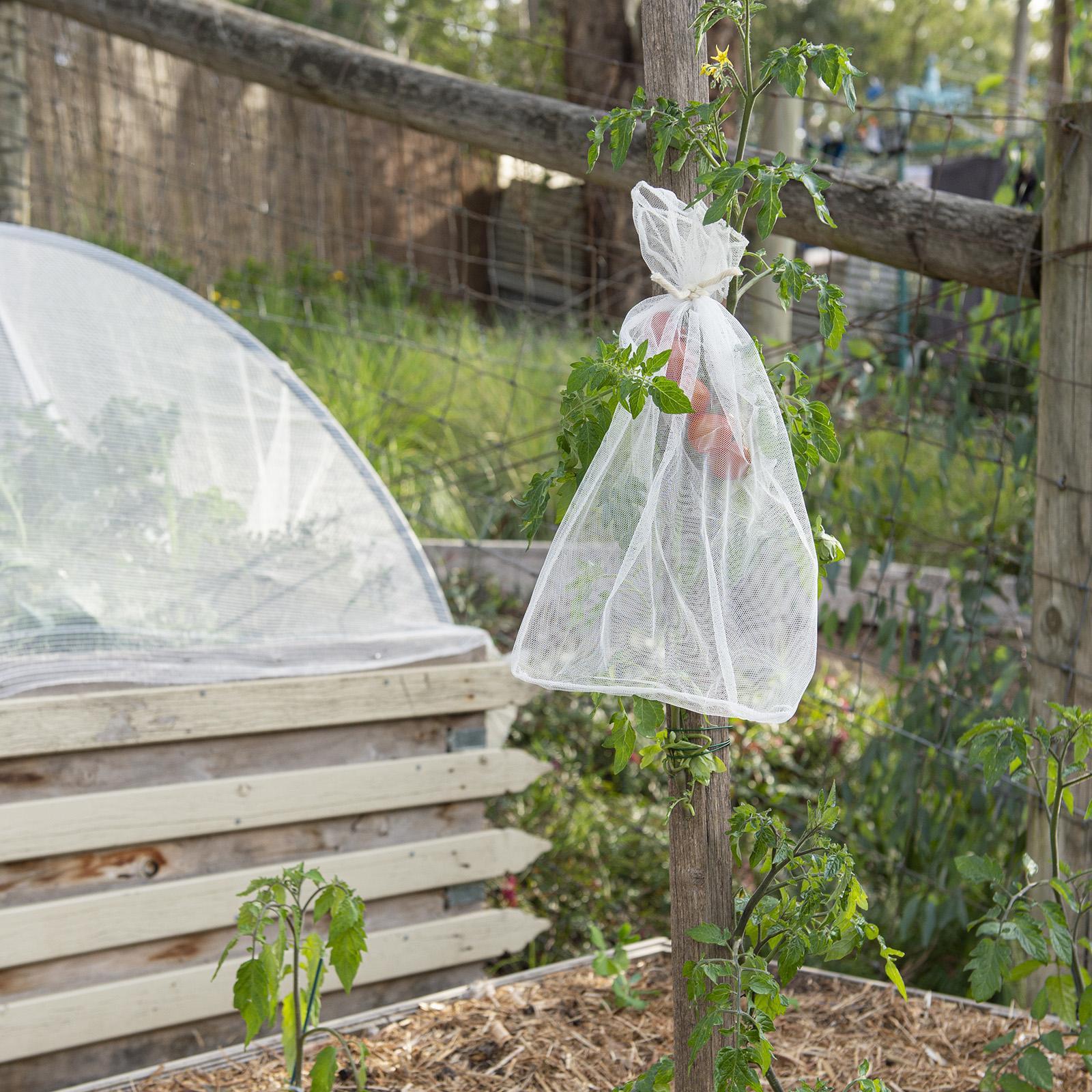 Cyclone 25 x 43cm Backyard Farmer Netting Sleeve - 3 Pack - Bunnings ...