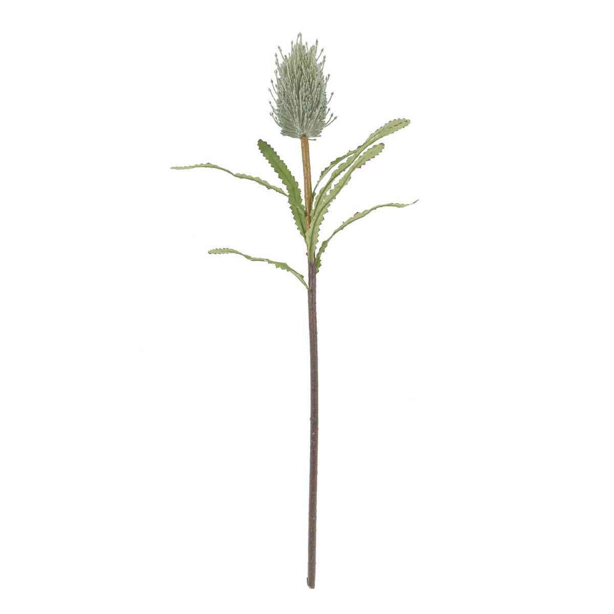 70cm Native Banksia Green Artificial Flower - Bunnings Australia