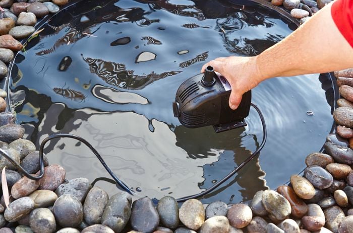 How To Install a Pond Pump - Bunnings Australia