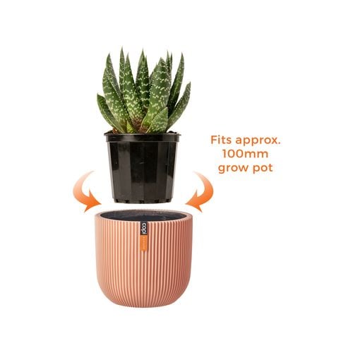 Capi 14 x 13cm Pink Groove Indoor Plant Pot - Bunnings Australia