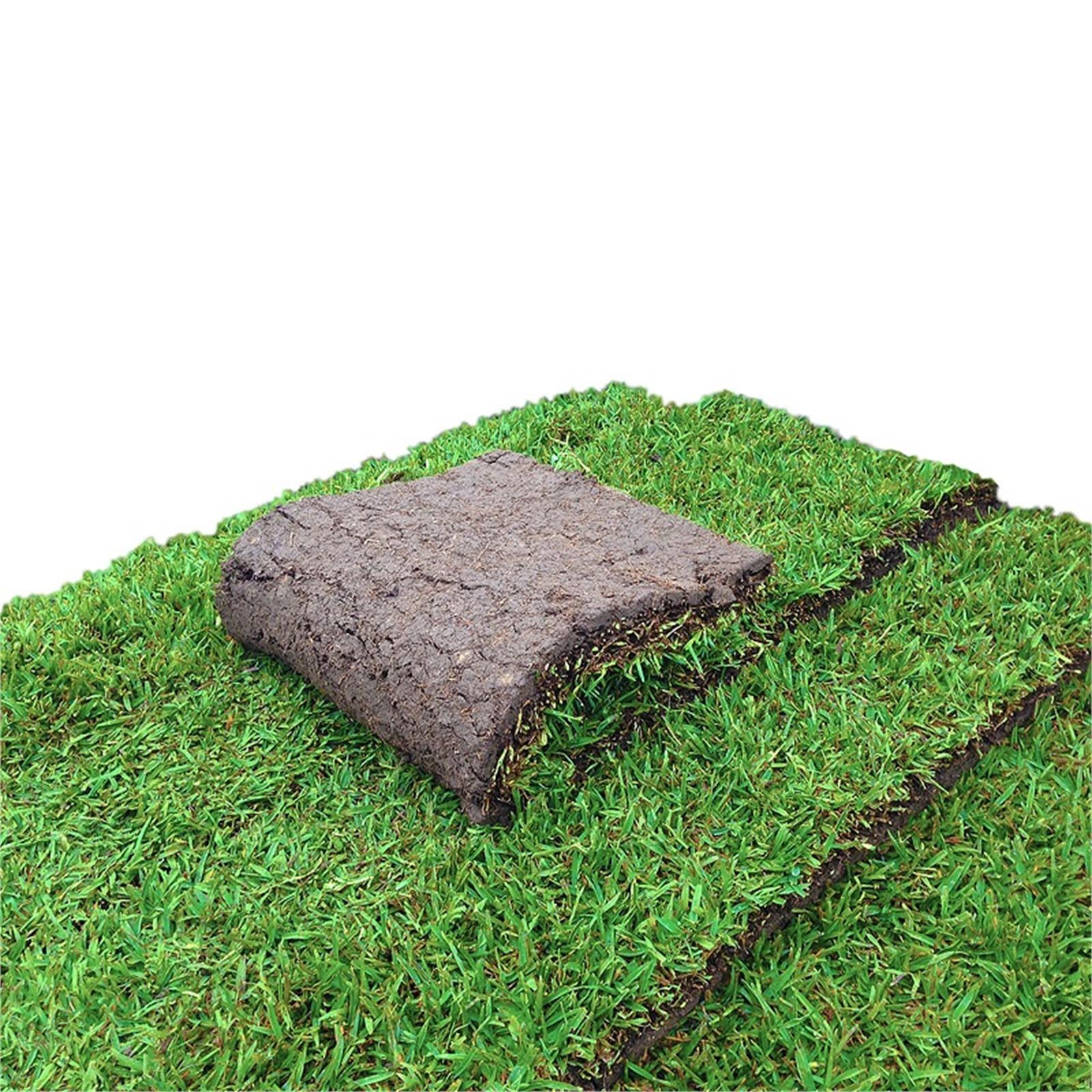 Sir Walter DNA Certified Buffalo 150m² Soft Leaf Buffalo Turf - Pallet ...