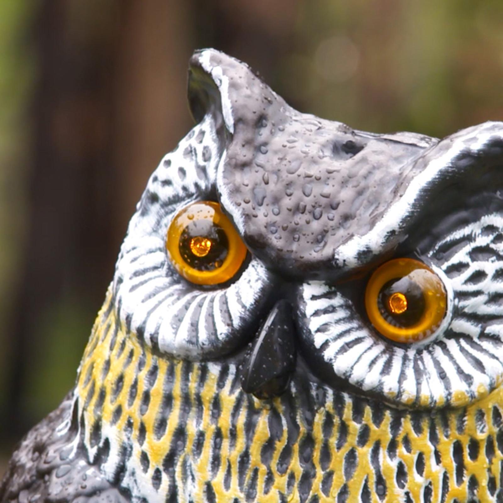 Jack Solar Power Owl - Bunnings New Zealand