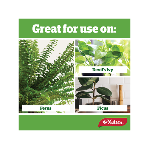 Yates Thrive Ferns And Plant Spikes - 30 Pack - Bunnings New Zealand