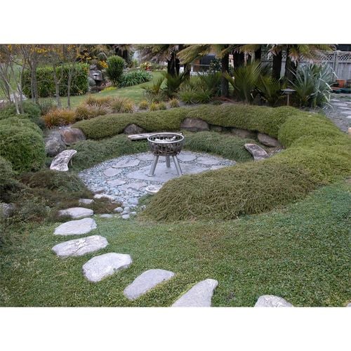 WestStone 30 - 50cm Natural Schist Stepping Stone - Bunnings Australia