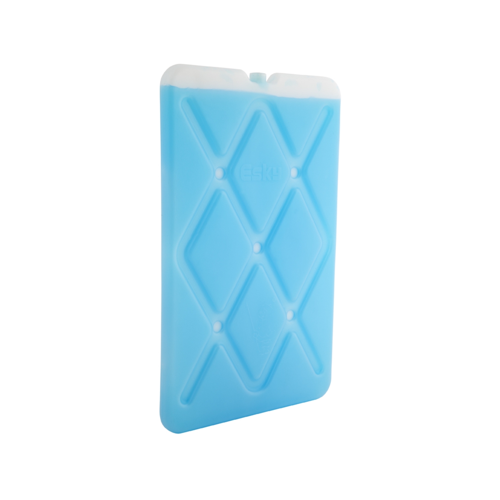 Esky Large Slim Ice Brick - Bunnings Australia
