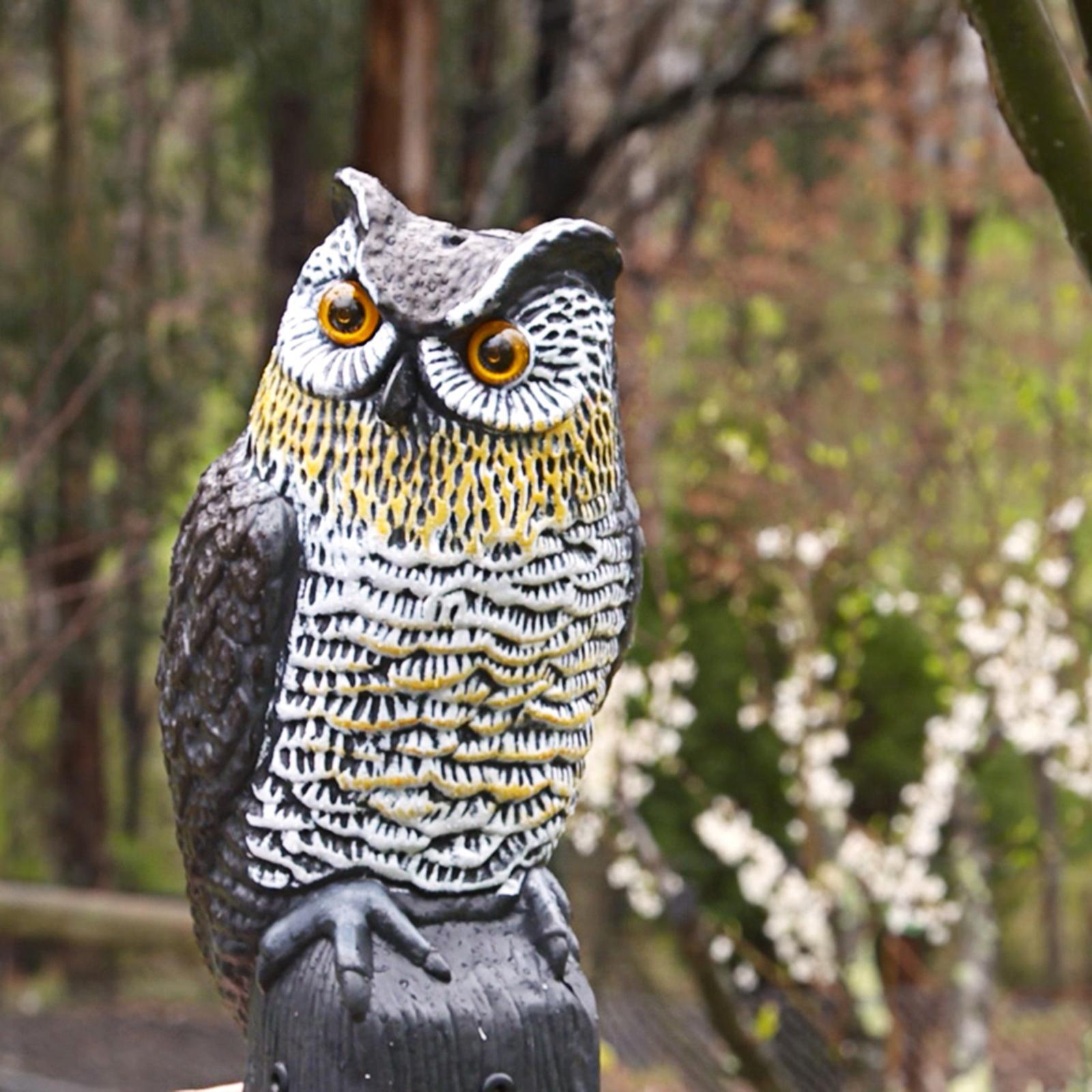 Jack Solar Power Owl - Bunnings New Zealand