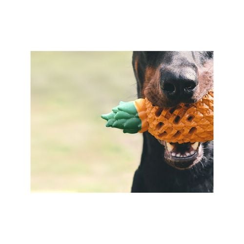 Petopia Ultra Tough 16cm Rubber Pawsome Pineapple Dog Toy Medium ...