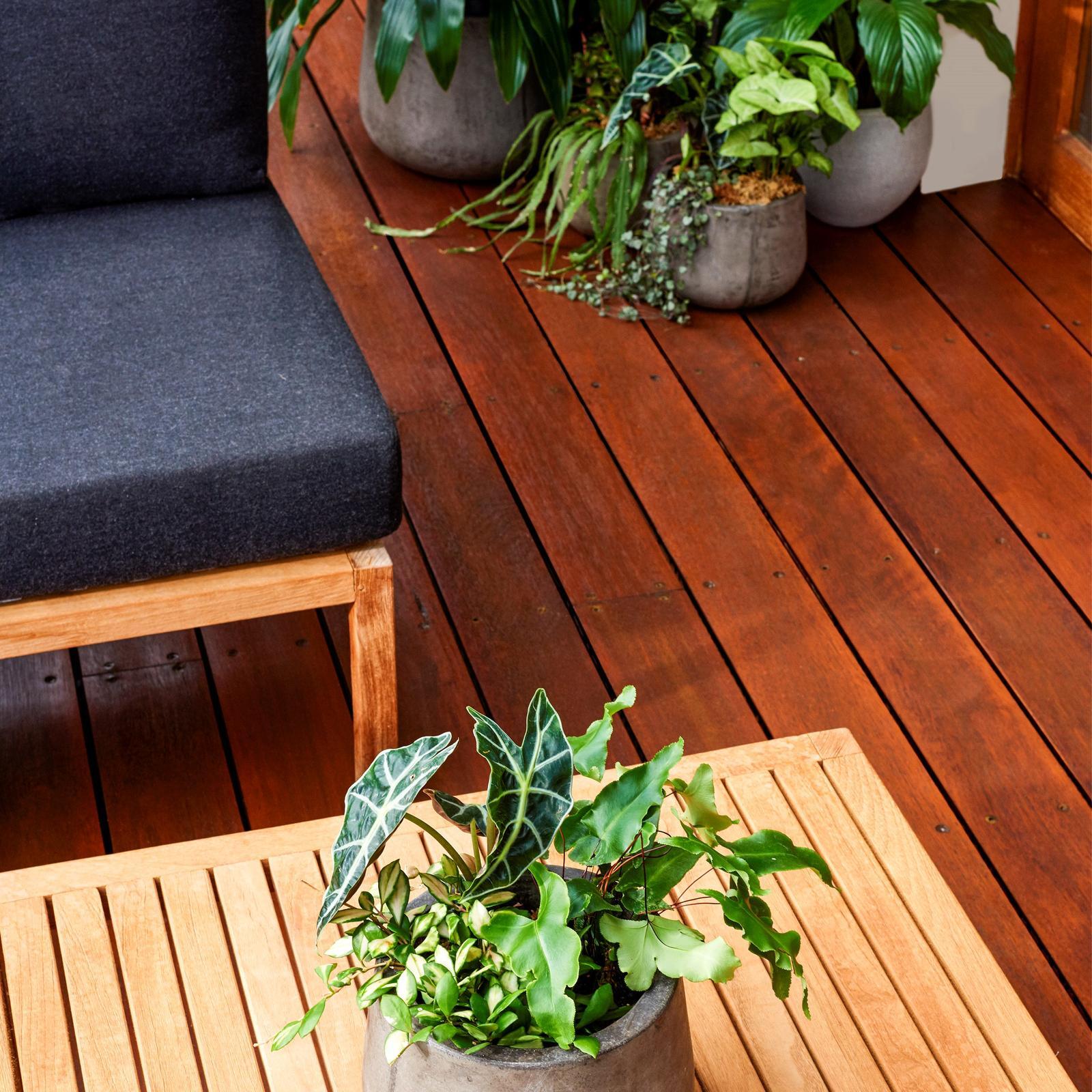 Cabot's 5L Kwila Aquadeck Exterior Decking Oil - Bunnings New Zealand