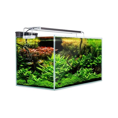 Dynamic Power Aquarium Fish Tank 70L Starfire Glass - Bunnings Australia
