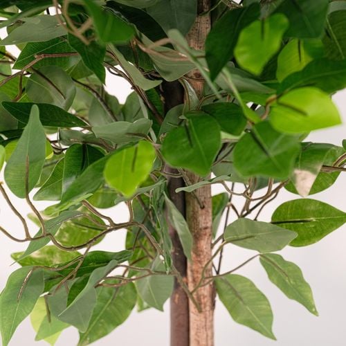 Un-Real 90cm Artificial Ficus - Bunnings Australia