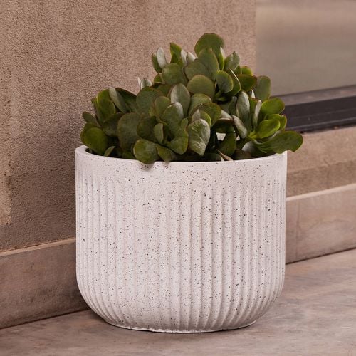 Northcote Pottery 37cm White Linea Cylinder Pot - Bunnings Australia
