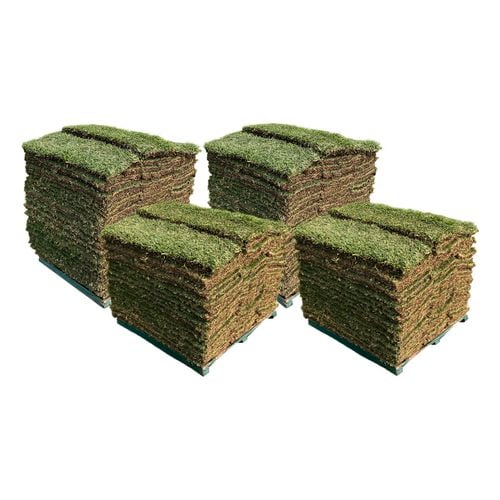 Sir Walter DNA Certified Buffalo 180m² Soft Leaf Buffalo Turf - Pallet ...