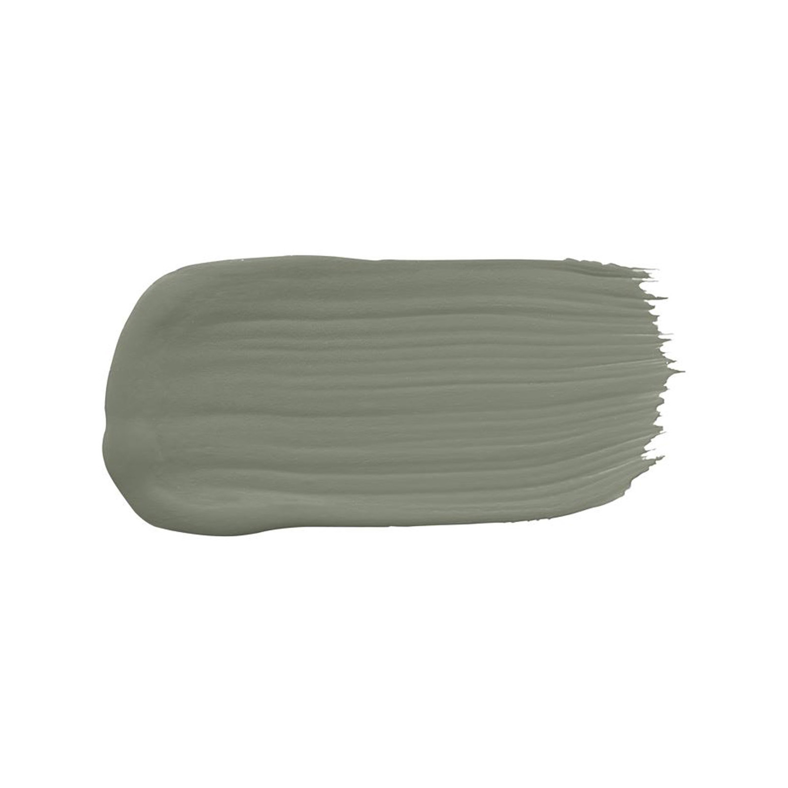 Porter's 100ml Olive Grove Eggshell Finish Broadwall Washable Paint ...