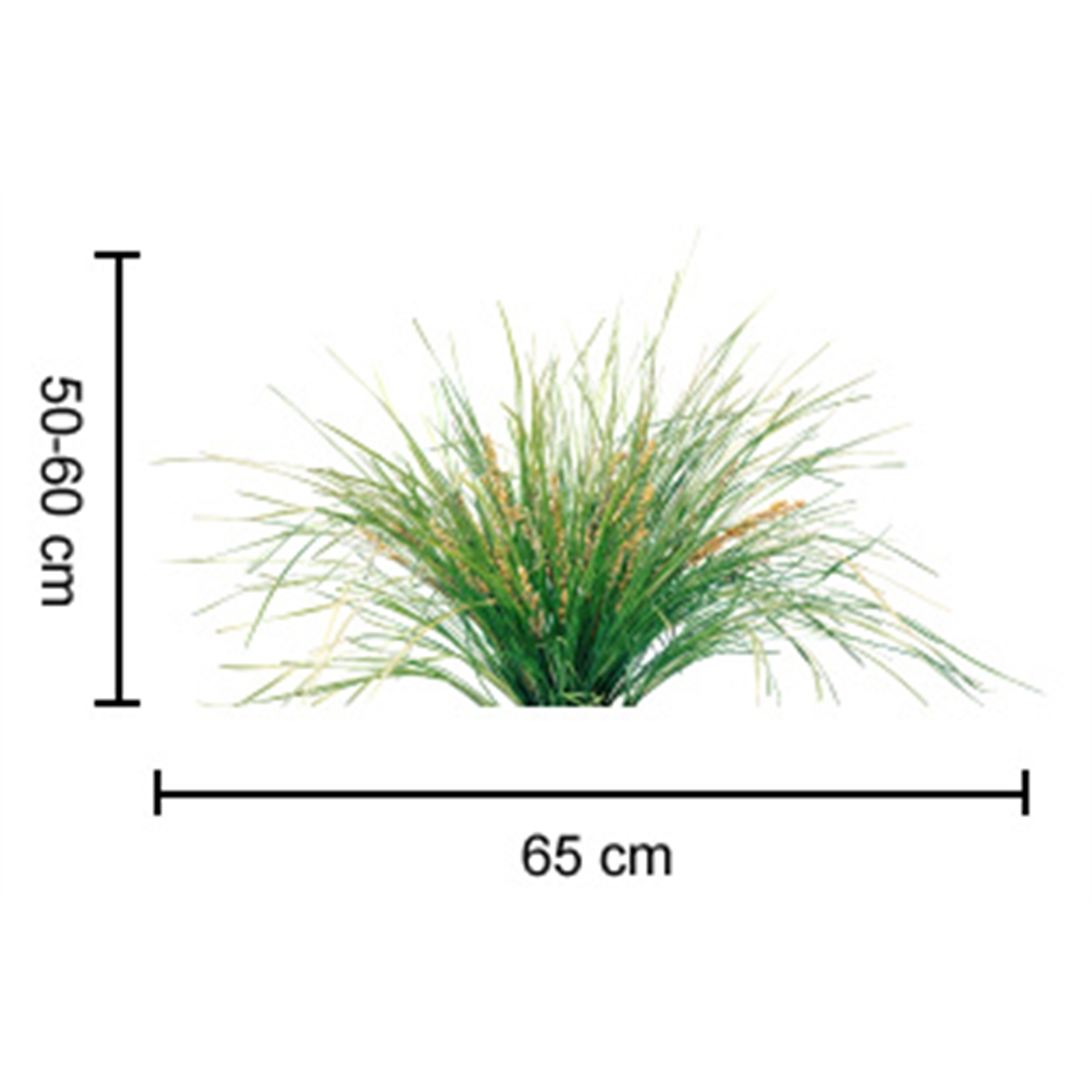 140mm Lomandra Tanika - Lomandra longifolia - Bunnings Australia