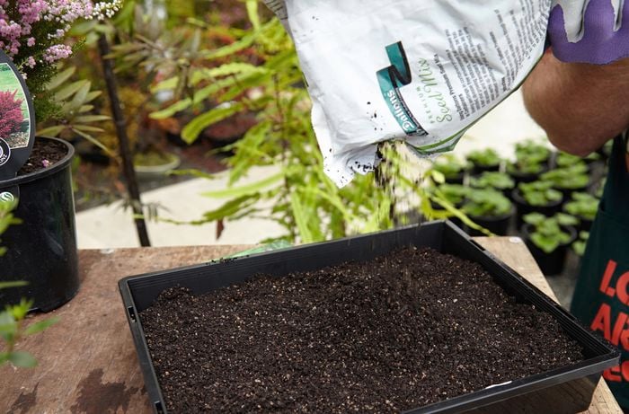 How To Propagate Plants - Bunnings Australia