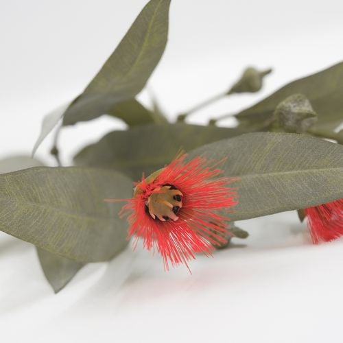 70cm Native Flowering Gum Red Artificial Flower - Bunnings Australia