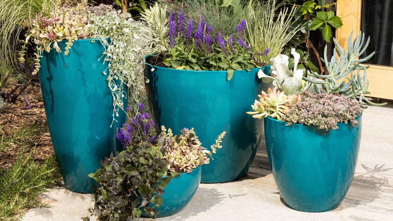 How To Style Outdoor Plant Pots With Northcote Pottery - Bunnings Australia