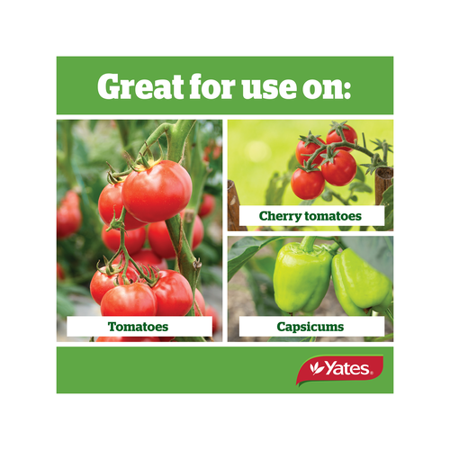 Yates 2kg Thrive Tomato Granular Plant Food - Bunnings New Zealand