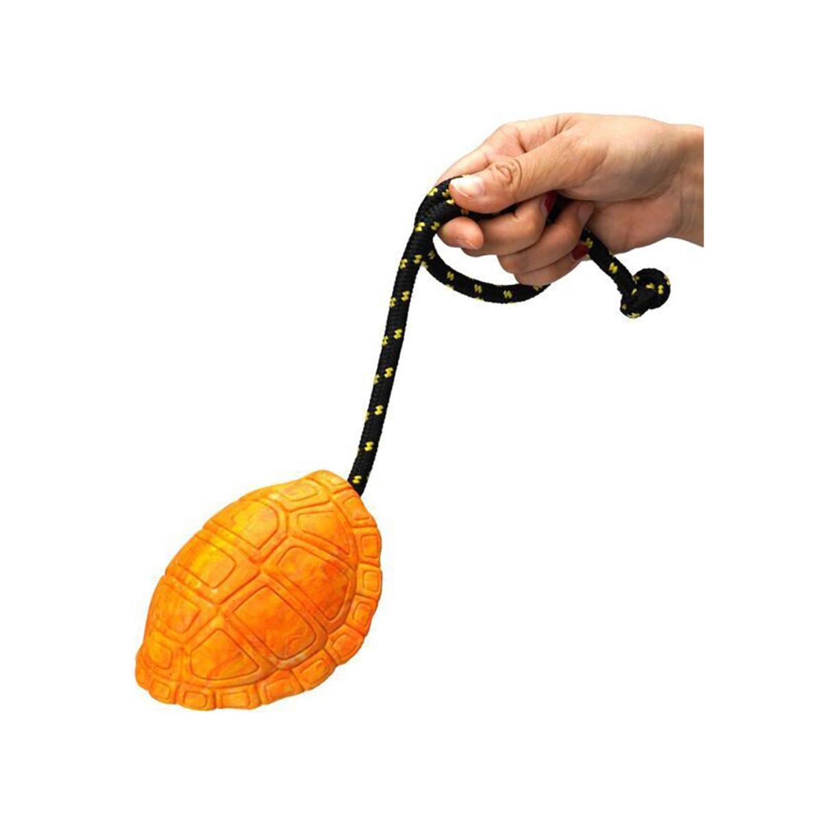 Petopia Ultra Tough Rubber Titan Turtle Dog Toy Large - Assorted ...