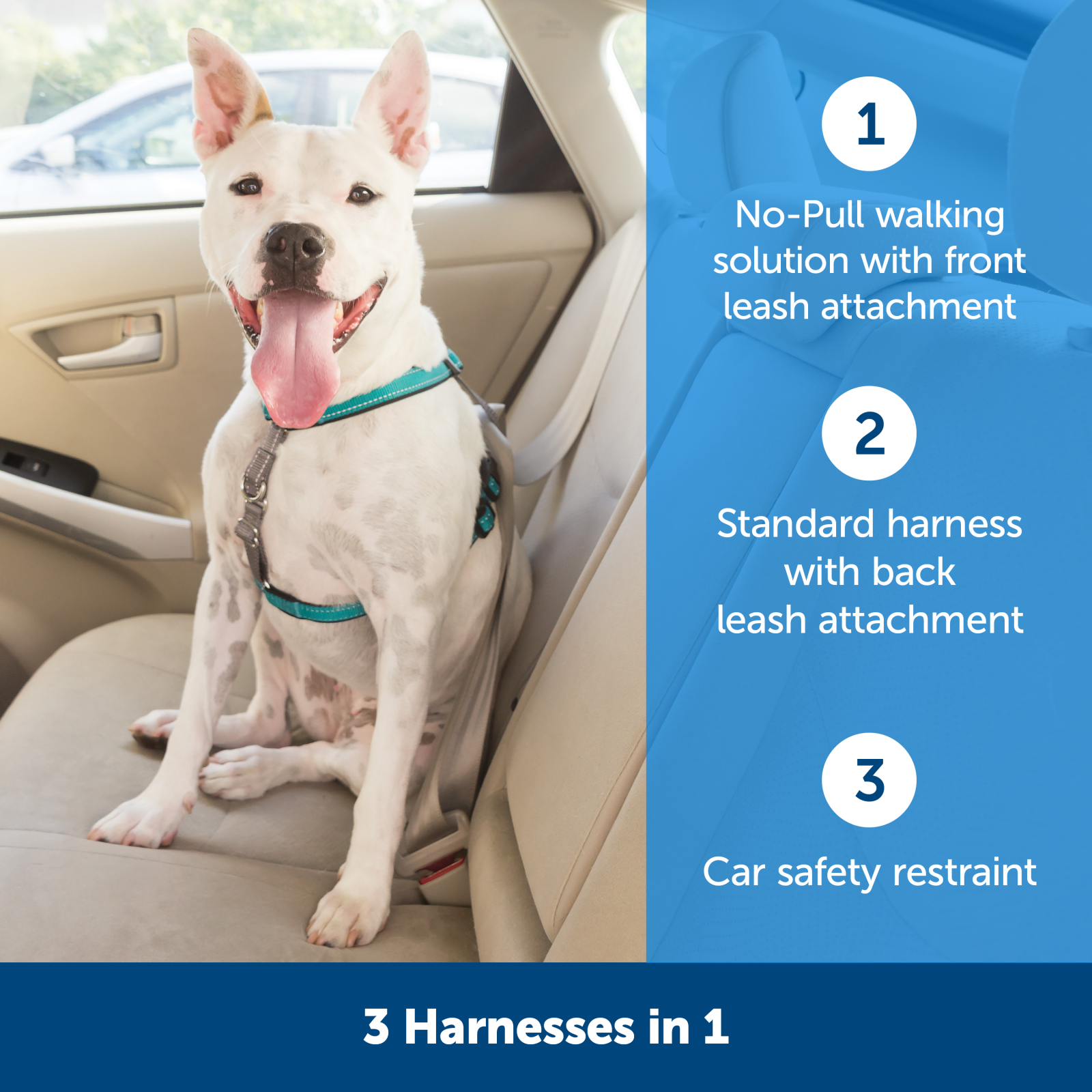 PetSafe Black 3-In-1 Harness And Car Restraint - Small - Bunnings Australia