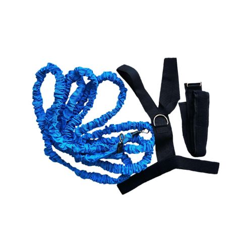Resistance Trainer Kit - Bunnings Australia