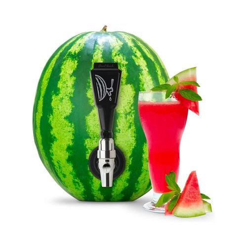 Winex Watermelon Cocktail Party Keg Tapping Kit - Bunnings Australia