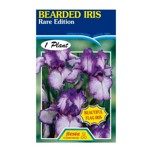 Fiesta Flower Bulbs Iris Germanica Rare Edition Bulb - Bunnings New Zealand