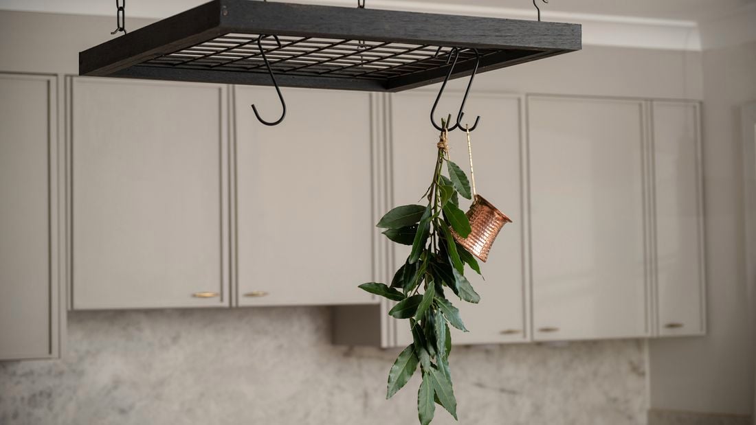 How To Plant And Propagate Bay Trees - Bunnings Australia