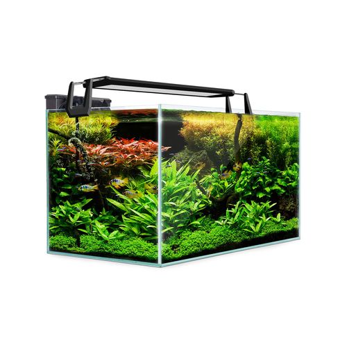 Dynamic Power Aquarium Fish Tank 70L Starfire Glass - Bunnings Australia
