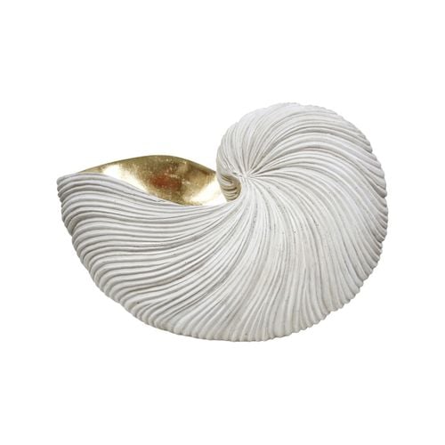Decorative Resin 35cm Nautilus Shell XL - Aged White/Gold - Bunnings ...