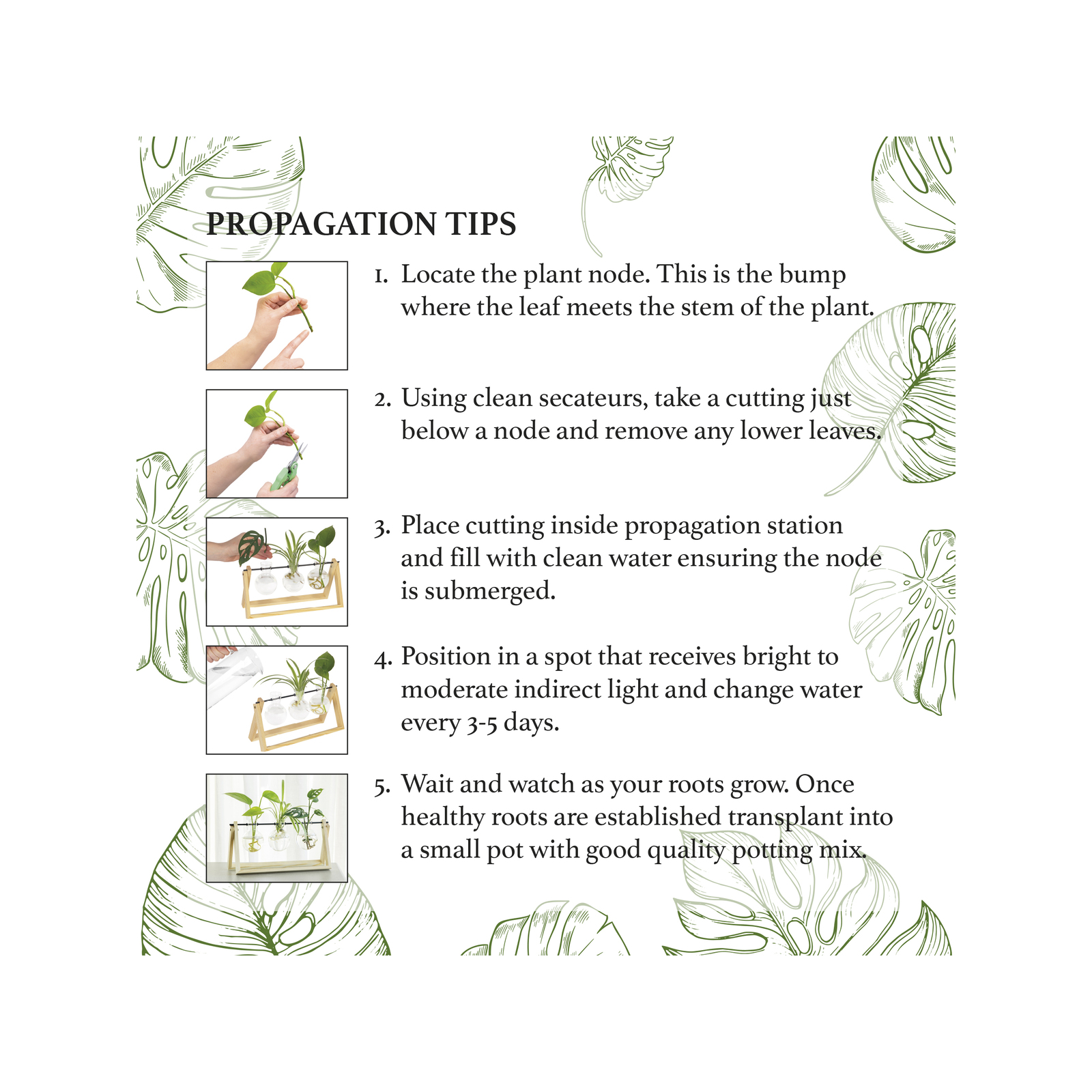 Triple Plant Propagation Station - Bunnings Australia