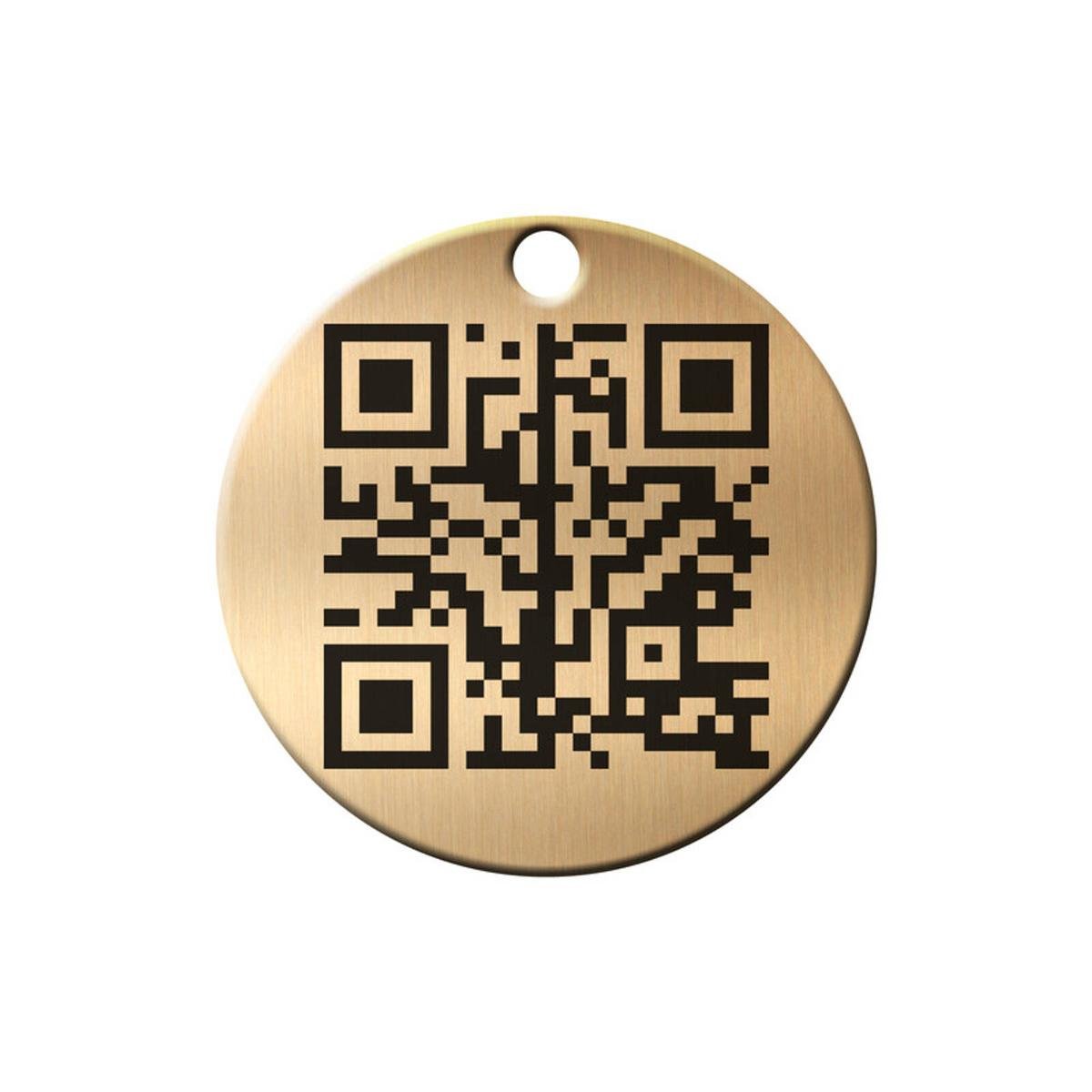 FOMO Pet Tags Dog ID Tag Brass Large - Bunnings Australia