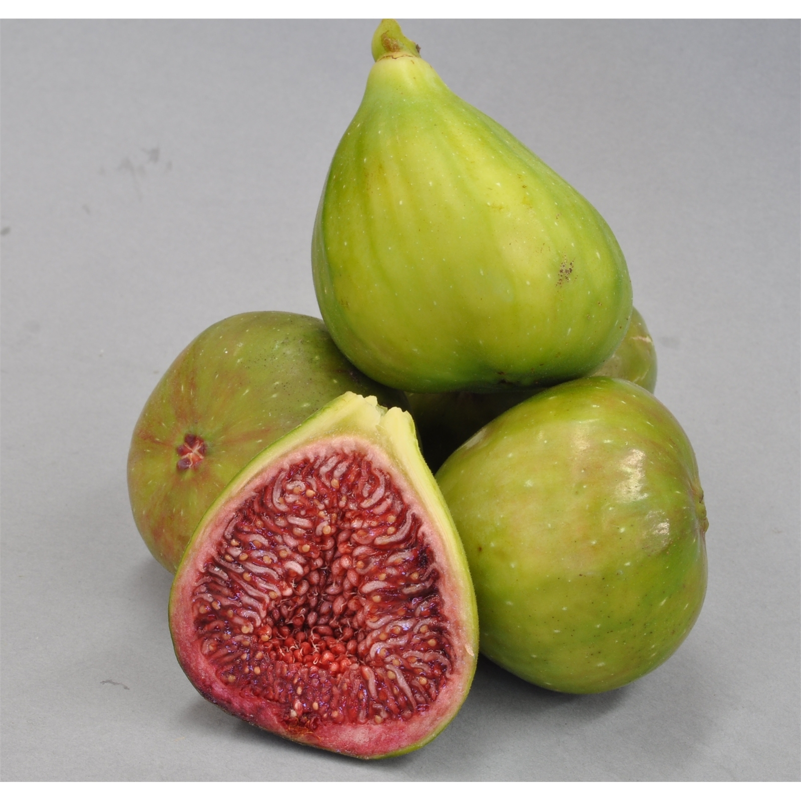 1.9L Fig Candy - Ficus carica Candy - Incredible Edibles Range ...