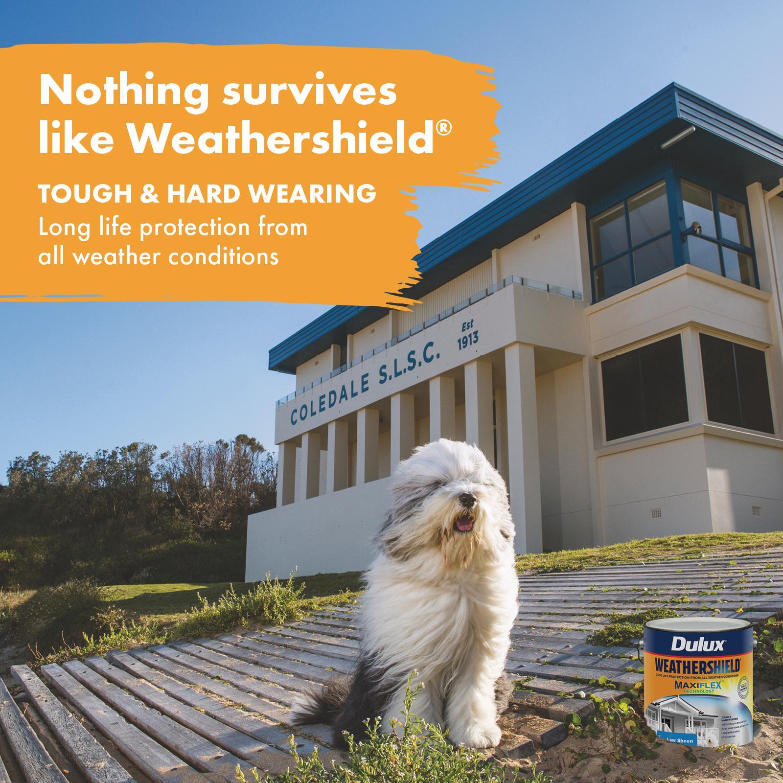 Dulux 1L Vivid White Gloss Weathershield Exterior Paint - Bunnings ...
