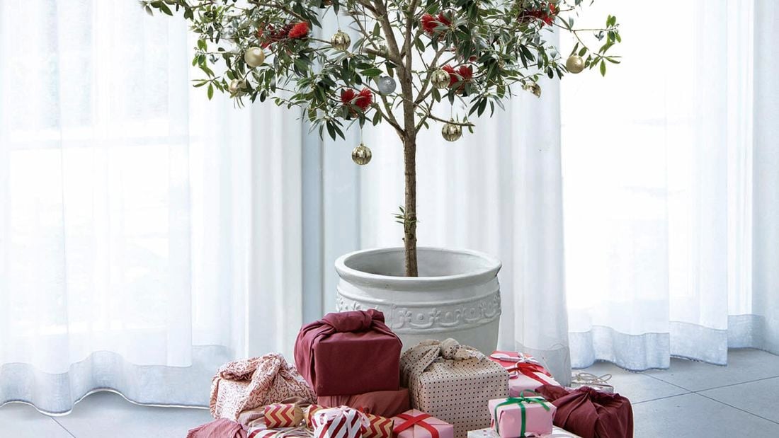 Fun Alternative Christmas Tree Ideas - Bunnings New Zealand