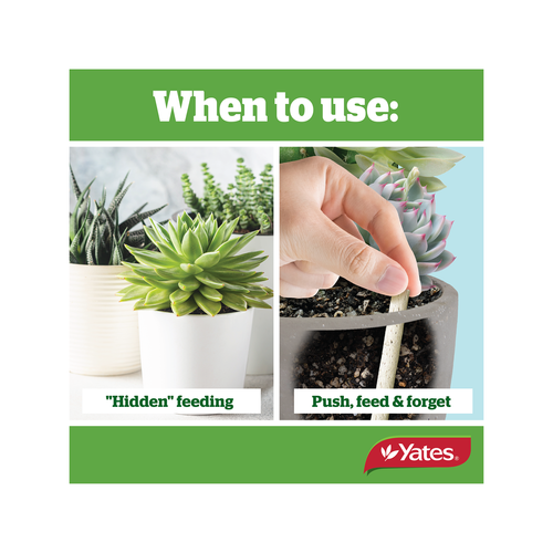 Yates Thrive Plant Spikes Cacti And Succulents - 30 Pack - Bunnings New ...