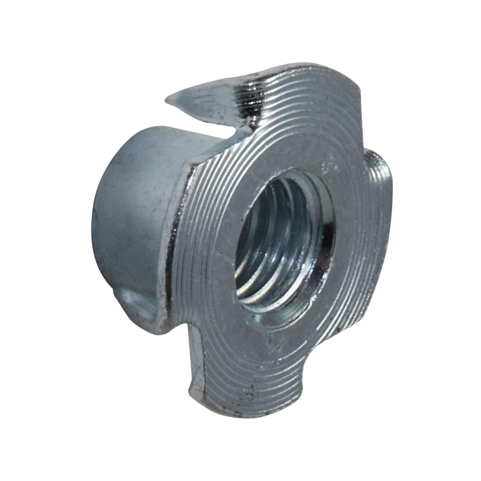 Everhang M10 x 100mm Zinc Plated Tee Nut and Bolt - 4 Pack - Bunnings ...