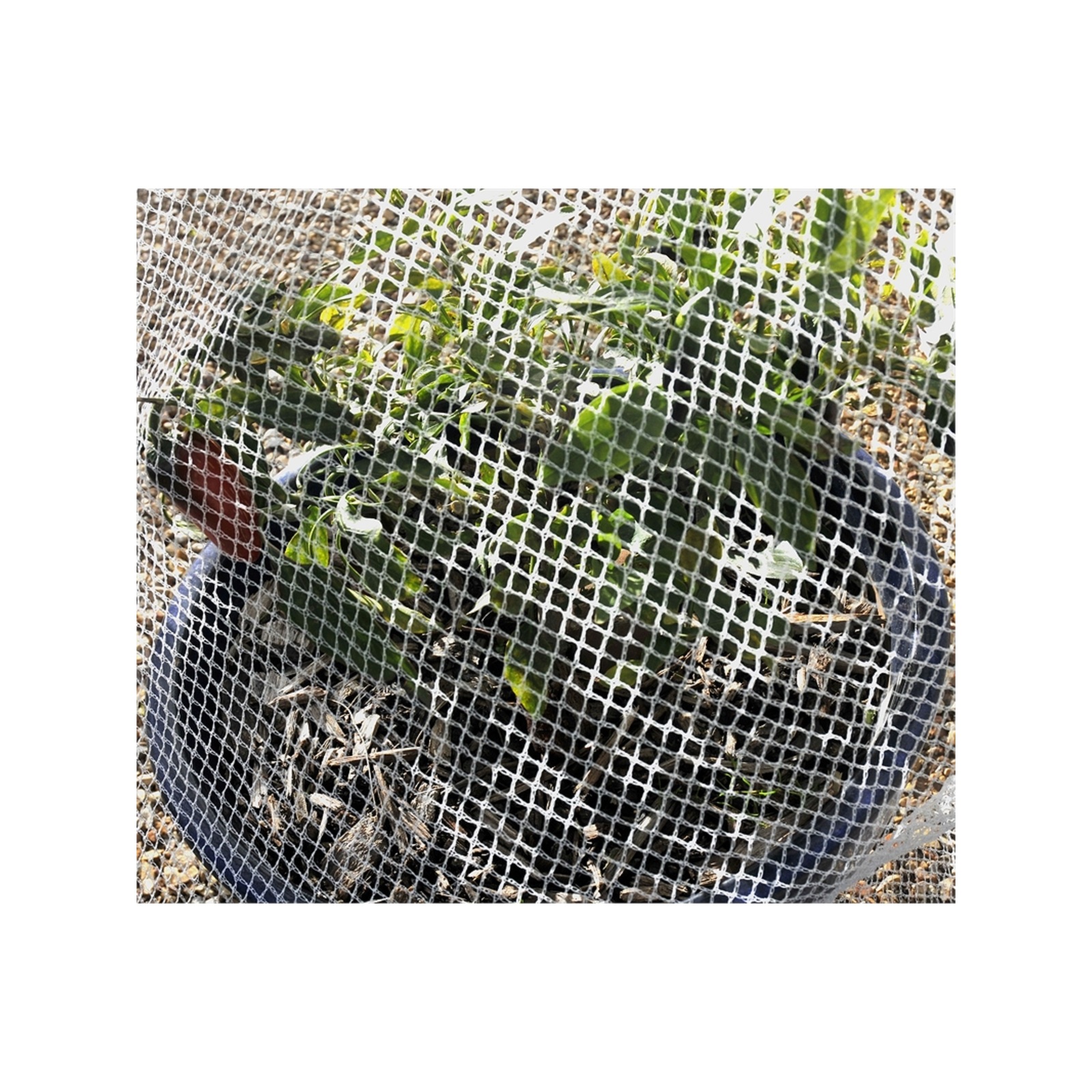 Diamond 2.5 x 2.5m Anti Bird Netting - Bunnings New Zealand