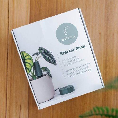 Willow Smart Indoor Plant Sensor Starter Pack Charcoal - Bunnings Australia