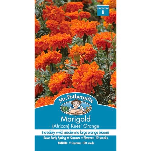 Mr Fothergill's Marigold (African) Kees' Orange Seeds - Bunnings Australia