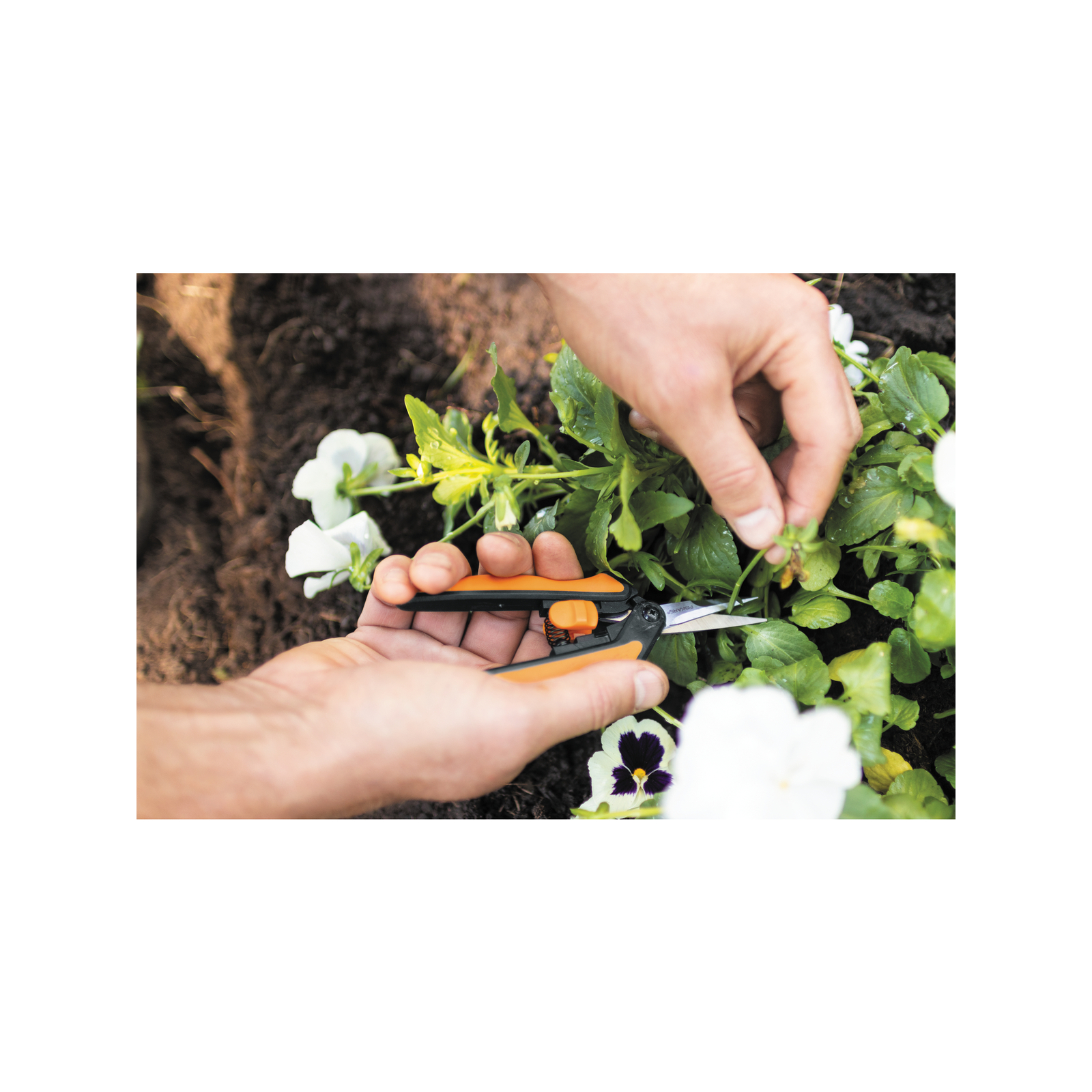 Fiskars Micro Tip Snips - Bunnings New Zealand