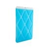 Esky Large Slim Ice Brick - Bunnings Australia