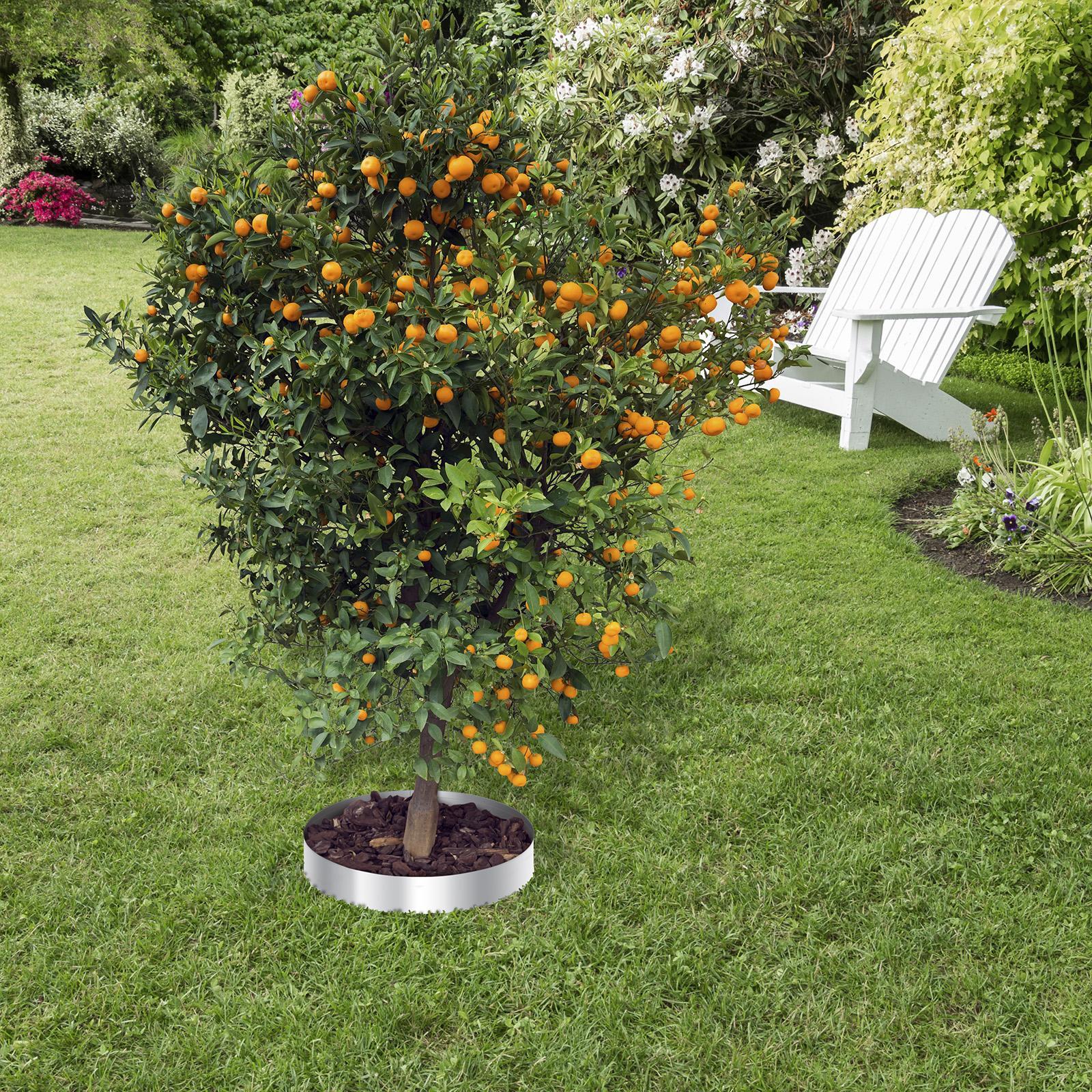 Jack 300mm Interlocking Steel Tree Ring - Bunnings Australia