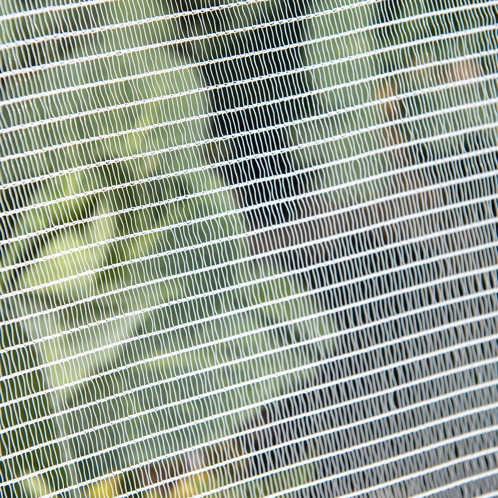Cyclone 5m x 2m Backyard Farmer Anti Bird Net - Bunnings New Zealand