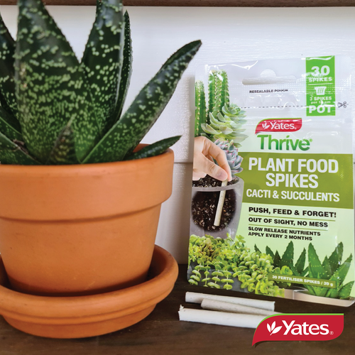 Yates Thrive Plant Spikes Cacti And Succulents - 30 Pack - Bunnings New ...