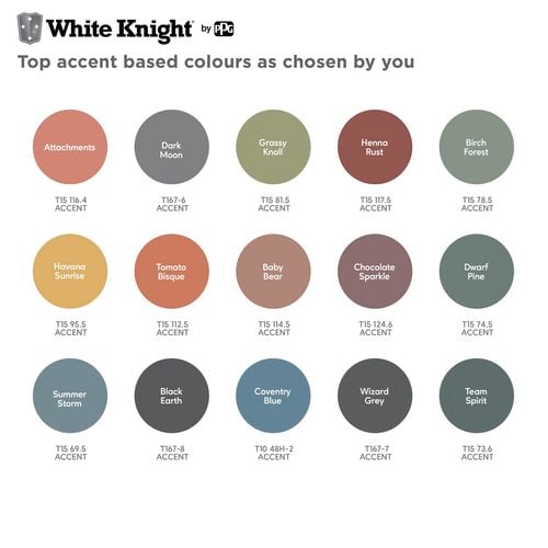 White Knight Rust Guard 4L Accent Gloss Epoxy Enamel Paint - 4L ...