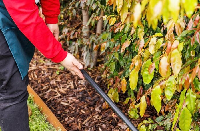 How To Install An Irrigation System - Bunnings New Zealand